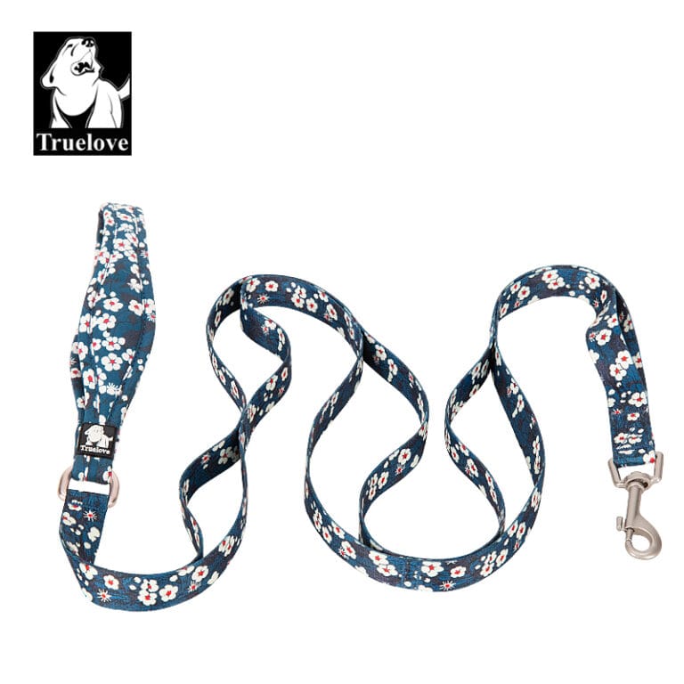 Dog Leash – Truelove pet outdoor products