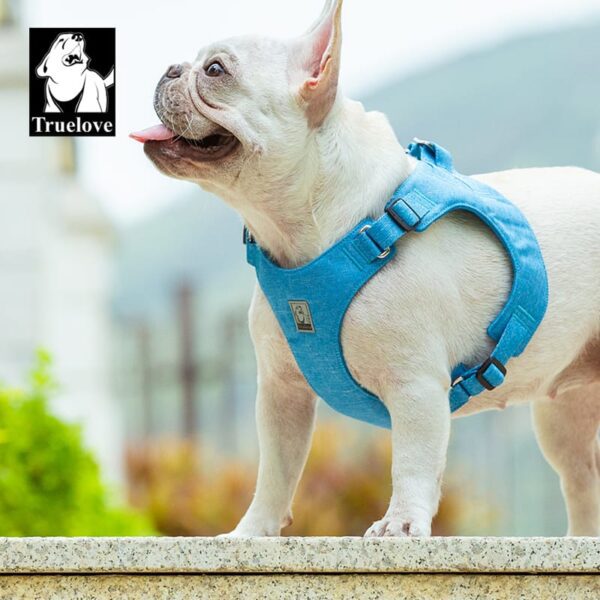 Truelove Eco-Friendly and Comfortable Dog Harness - Truelove pet ...