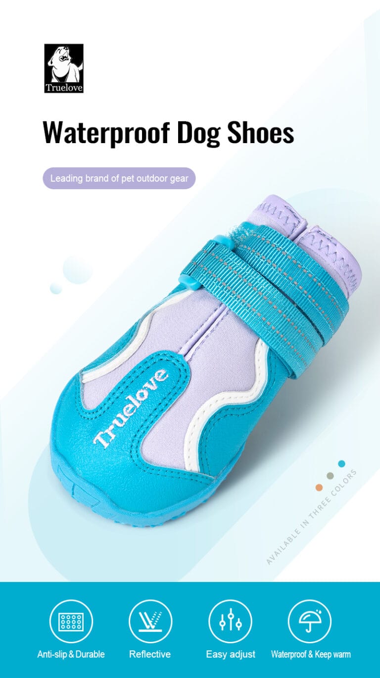 TPR Sole Water Resistance Shoes - Truelove pet outdoor products